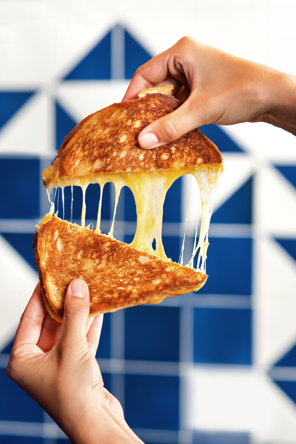 Tillamook's Jill Allen Shares 2026 Cheese Trends: Bold Flavors, Premium ...